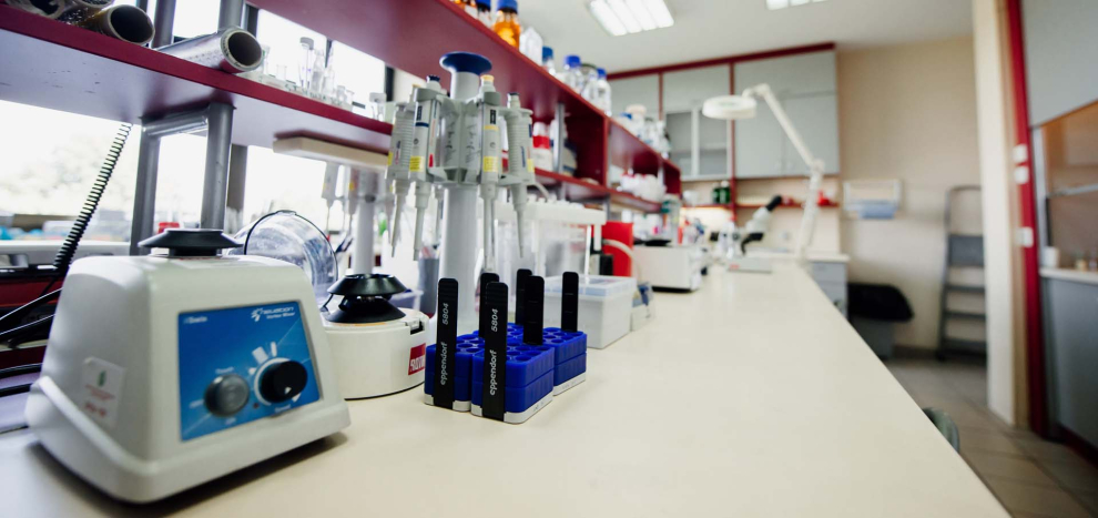 Department of Molecular Biology